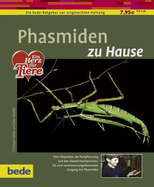 Wandelndes Blatt im Terrarium | Alle Infos und Details