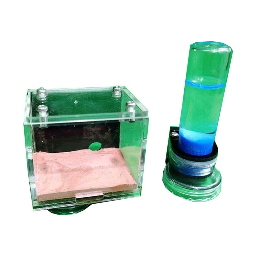 Buy Hlyp Ant Farm-The Ants And The Queen Feed The Castle Together, The ...