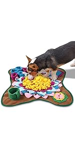 Adpartner 24" x 20" Rabbit Foraging Mat with Carrot Toy, Interactive ...
