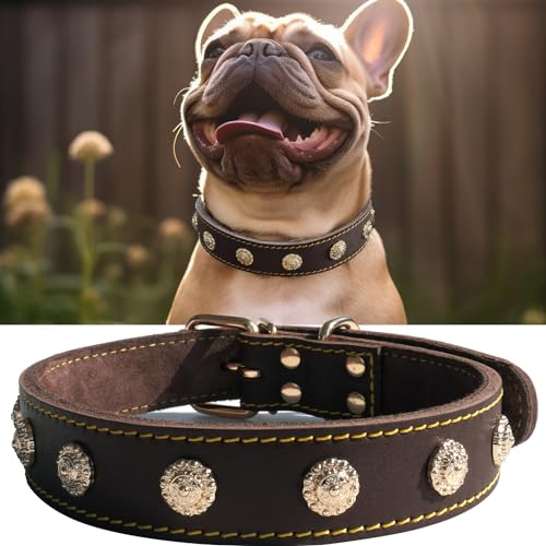 10 Best Luxury Dog Collars