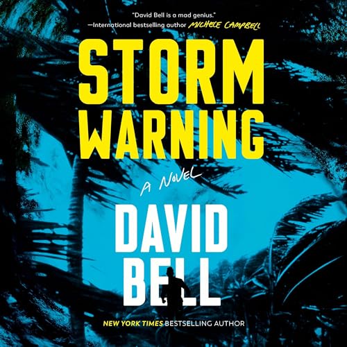 Amazon.com: Storm Warning (Audible Audio Edition): David Bell, Sean Patrick Hopkins, Penguin ...