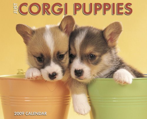 Just Corgi Puppies 2009 Calendar: Willow Creek Press: 9781595436955 ...