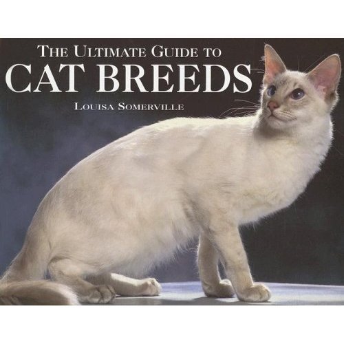 The Ultimate Guide to Cat Breeds [ULTIMATE GT CAT BREEDS]: Amazon.co.uk ...