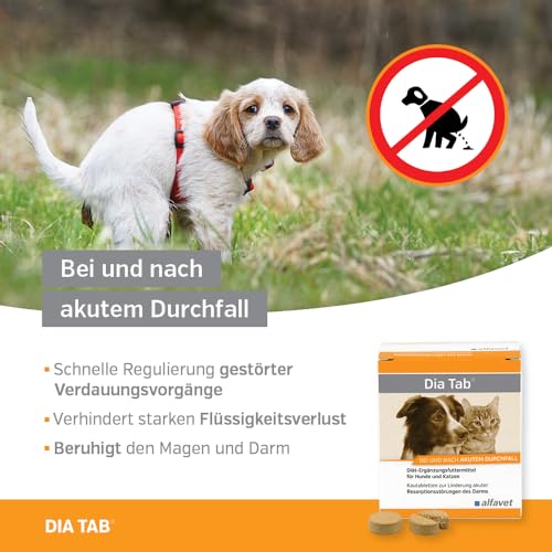 Dia Tab Alfavet – Die 15 besten Produkte im Vergleich - HundeINFOPortal