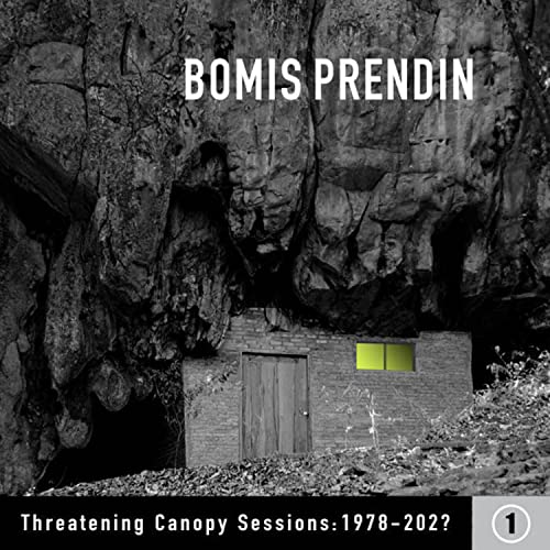 Amazon.co.jp: Threatening Canopy Sessions: 1978-202? Volume 1 : Bomis ...