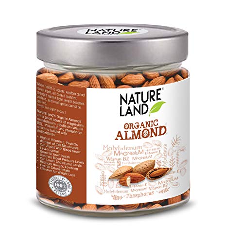 Amazon.com : Natureland Organics Almonds 250 Gm, Healthy Organic Dry ...