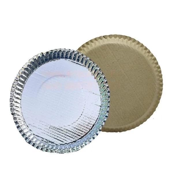 Buy cThemeHouseParty 100% Biodegradable Eco Friendly 12 Inch Paper ...