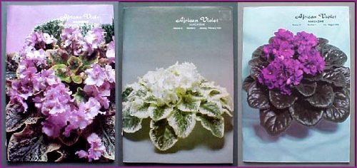 African Violet Magazine 3 Issues 1980s: Frances Young: Amazon.com: Books