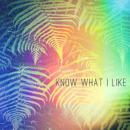 Play Know What I Like by Lisa Santa Cruz on Amazon Music