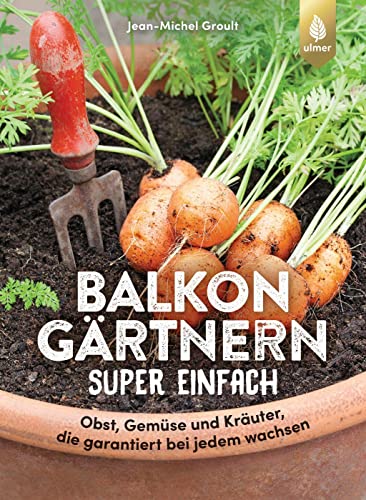 Buchsbaum Balkon – Die 15 besten Produkte im Vergleich - haushalt-und ...