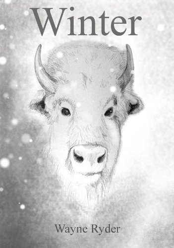 Winter eBook : Ryder, Wayne: Amazon.in: Kindle Store