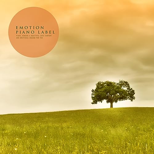 Play The Sound Of Nature And The New Age Piano With A Faint Memory ...