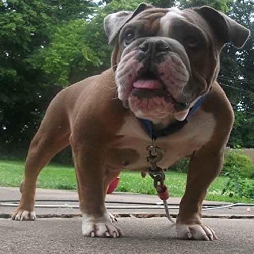 Play Beats By Big, Vol. 2 by Shawn O on Amazon Music