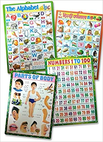 Buy Tini 3D Embossed Educational Early Learning Wall Charts for Kids ...
