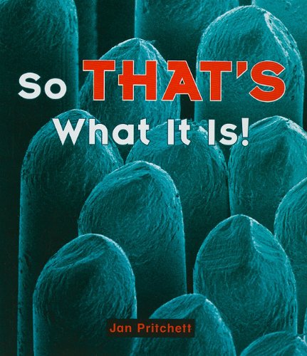 Amazon | That's What It Is, Grade 1 (Rigby Literacy, Level 7) | Rigby ...