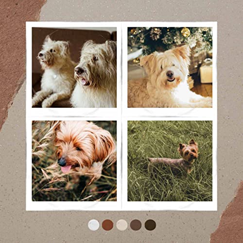 10 Drool-Worthy Homemade Dog Meals to Keep Your Pup's Tail Wagging - A ...