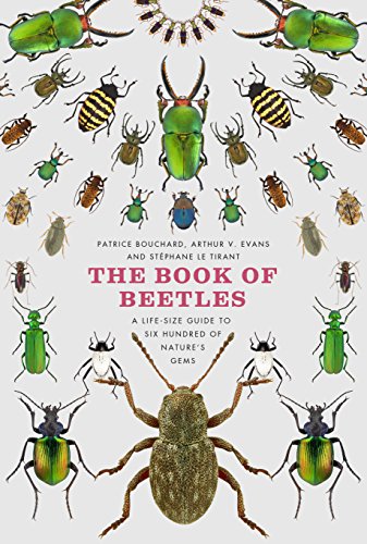 The Book of Beetles: A Life-Size Guide to Six Hundred of Nature's Gems ...