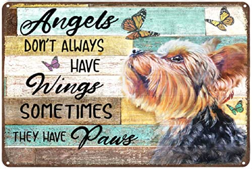 Discover the Top 10 Yorkie Signs to Make Your Pup's Personality Shine ...