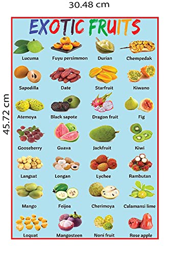 Buy Kids Early Learning Poster|Kids Poster|Kids Educational Poster ...