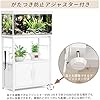 Amazon.co.jp: DEWEL 水槽台 60cm 水槽 台 ラック 棚 スタンド キャビネット/配線溝付 水槽棚 総耐荷重約200kg 面取り加工 水槽ラック 60cm水槽用 水槽棚 ...