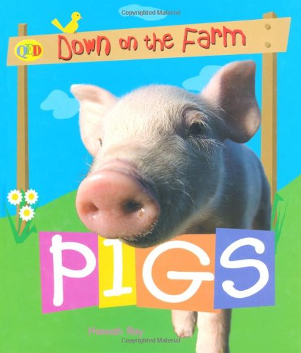 Pigs (QED Down on the Farm): Hannah Ray: 9781845383565: Amazon.com: Books