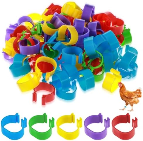 Amazon.com : Mutai 16mm Chicken Identification Band 50PCS 16mm 5Color ...