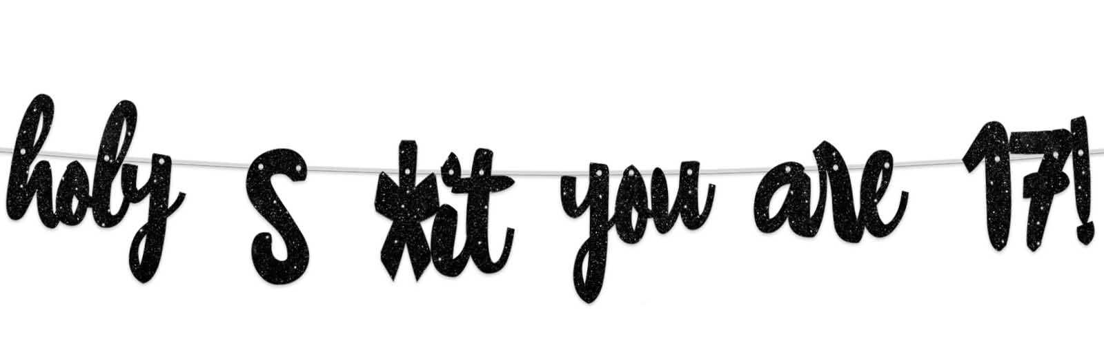Amazon.com: Holy S*ht You are 17! Banner Backdrop Glitter Black Hello ...