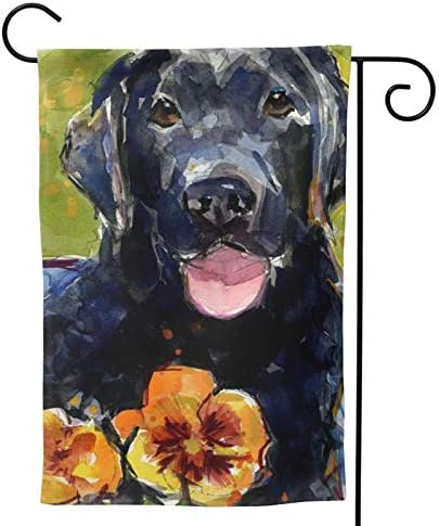 Amazon.com : Black Labrador - Best of Breed DCR Spring Garden Flag ...