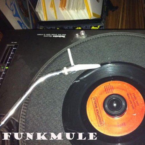 Écouter True Funk par FunkMule sur Amazon Music Unlimited