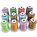 Amazon.com: New brothread 12 Colors Variegated Polyester Embroidery ...