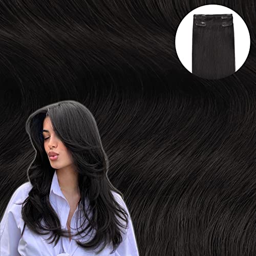 Amazon.com New Releases: The best-selling new & future releases in Hair ...