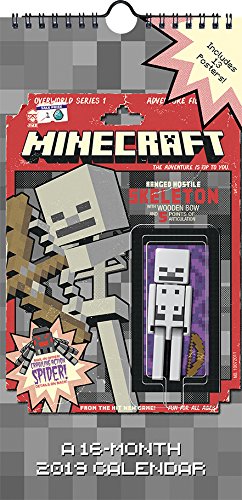 Minecraft 2019 Poster Calendar : Trends International: Amazon.in: Books