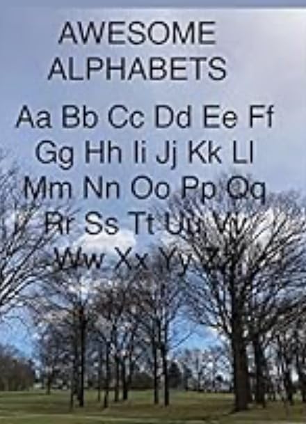 Awesome Alphabets: Akhtar, Sameera: 9781685373085: Amazon.com: Books