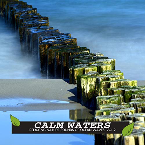 Amazon.com: Calm Waters - Relaxing Nature Sounds of Ocean Waves, Vol.2 : VARIOUS ARTISTS ...