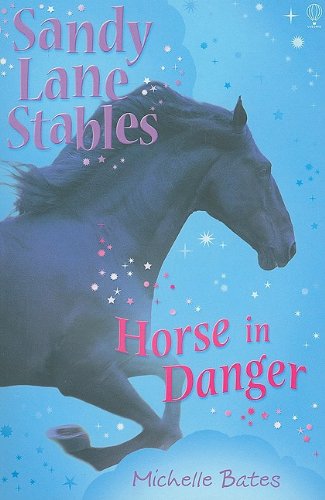 Horse in Danger (Sandy Lane Stables): Bates, Michelle: 9780794525309 ...