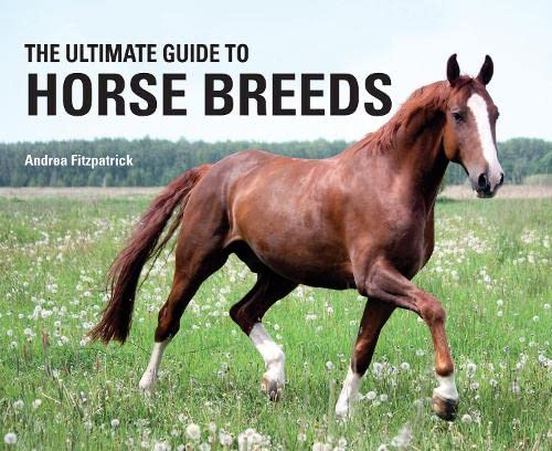 The Ultimate Guide to Horse Breeds: Amazon.co.uk: Fitzpatrick, Andrea ...