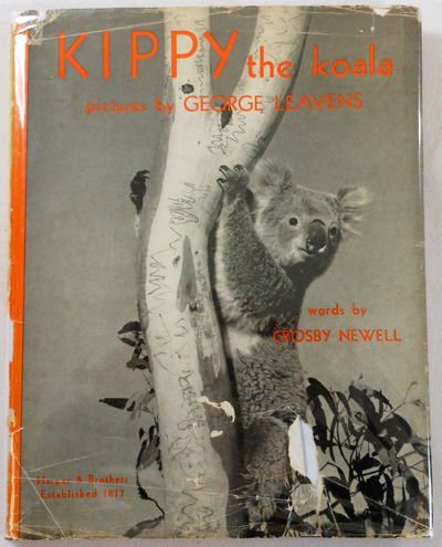 Kippy The Koala: Newell, Photographs: Amazon.com: Books