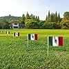 Amazon.com : LOT OF 24-Hand Held Small Mexico Mexican Flags on Stick ...