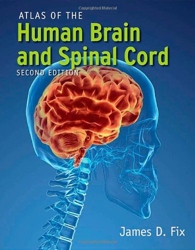 Atlas of the Human Brain and Spinal Cord: .: 9780763753184: Medicine ...