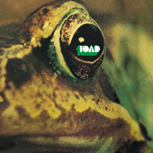 Amazon.com: Toad : Toad: Digital Music