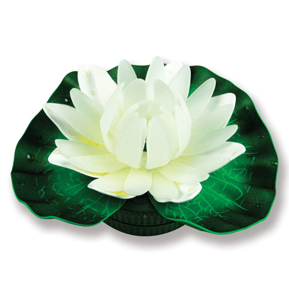 Amazon.com: BANBERRY DESIGNS Lighted LED Lily Pad Floating Light ...