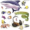 Amazon.com: Marine Life Props Party Accessory (1 count) (16/Pkg) : Home ...