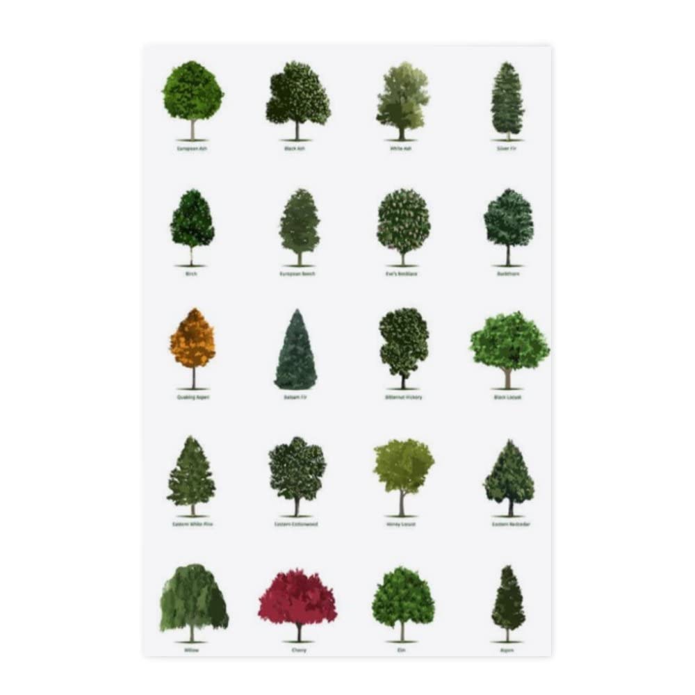 Types Of Trees Chart