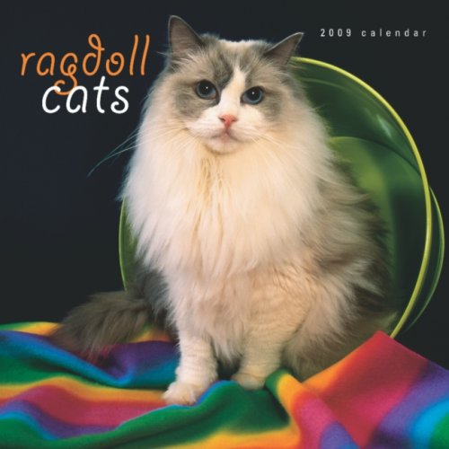 Ragdoll Cats 2009 Square Wall Calendar: BrownTrout Publishers Inc: 9781421635255: Amazon.com: Books