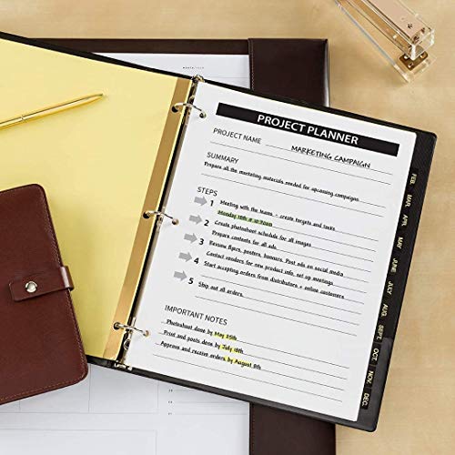 Snapklik.com : 1InTheOffice Monthly Tab Dividers, Month Tabs For 3 Ring ...