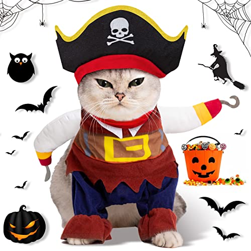 10 Purrfect Halloween Costumes For Your Feline Friends: A Comprehensive ...