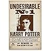 Amazon.com: Open Road Brands Harry Potter Undesirable No. 1 Wood Wall ...