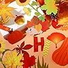 Amazon.com: 135 Pieces Fall Classroom Bulletin Board Decorations Autumn ...
