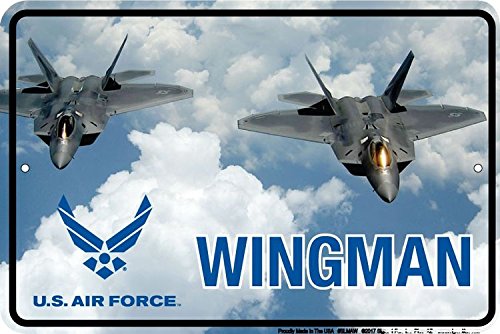 Air Force Wingman