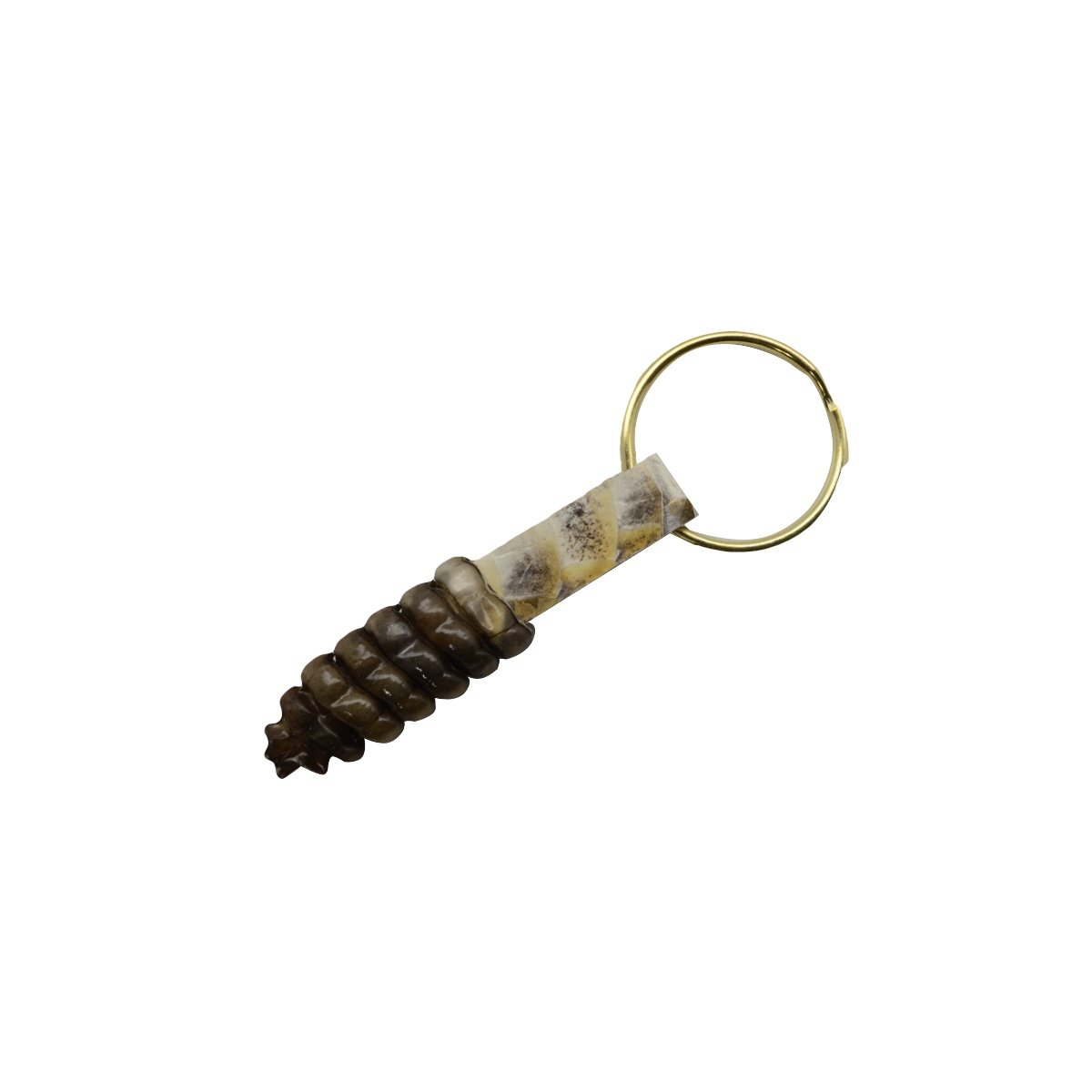 Amazon.com: Treasure Gurus Rattlesnake Tail Rattle Keychain 100% Real ...